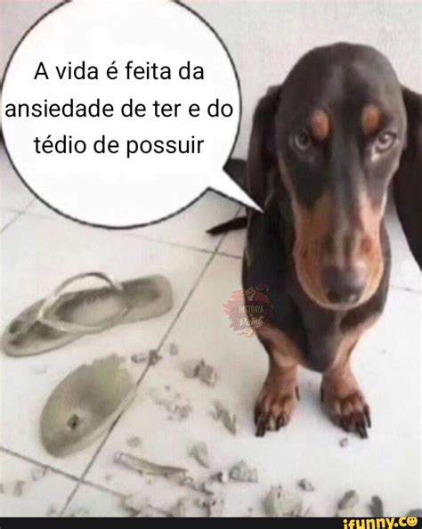 A vida é feita da ansiedade de ter e do tédio de possuir iFunny Brazil