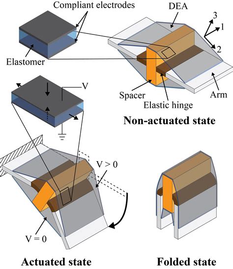 sensory motor tissues for soft robots ‒ lis ‐ epfl