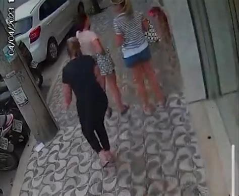V Deo Vira Lata Caramelo Flagrado Roubando B Quini De Loja E Se