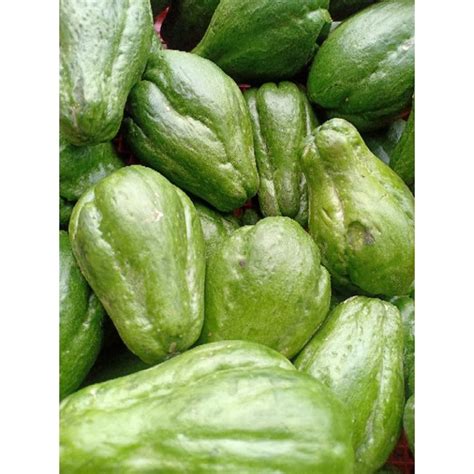 Jual Jipang Labu Siam Shopee Indonesia