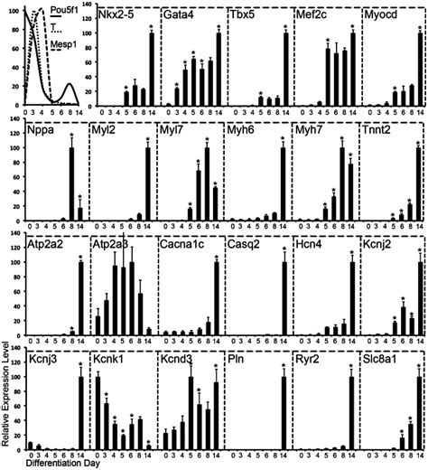 temporal gene expression analysis was performed over the length of 14 download scientific