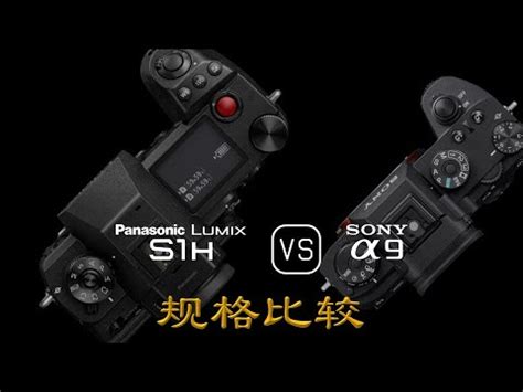 Panasonic Lumix S H Sony A Youtube