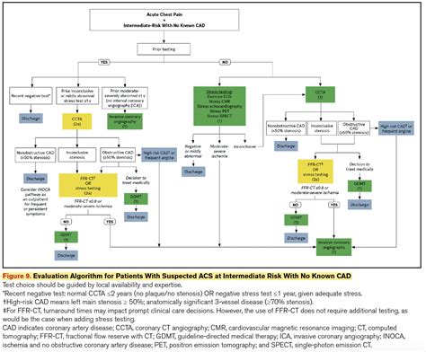 Feb Mar 2022 AHA ACC ASE CHEST SAEM SCCT SCMR Guideline For The