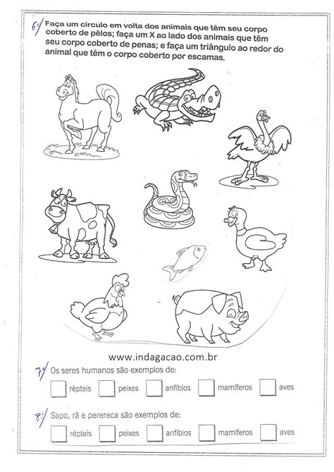 Avaliação De Ciencias 2 Ano Animais BRAINCP