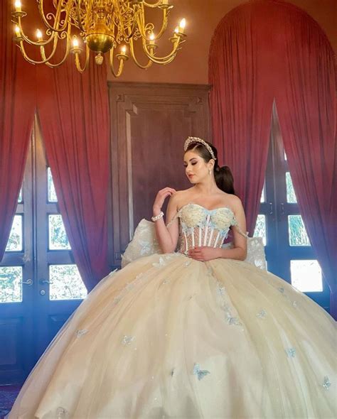Pin by Isabel Draiman on Bustier y Croptop Xv Años Ball gowns Quince