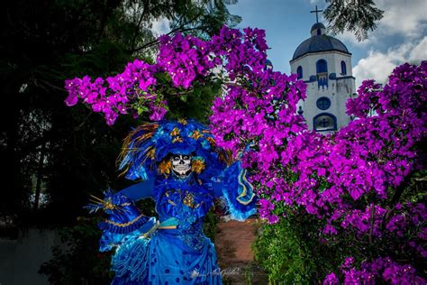 Ex Hacienda San Cirilo Turismo Pedro Escobedo