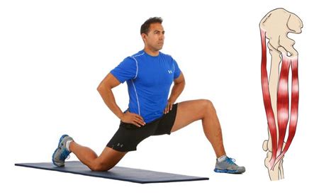 Ejercicios Para Tratar La Tendinitis De La Pata De Ganso