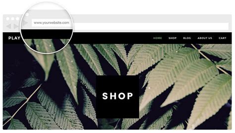 Buy A Domain With Shopify Domain Registration