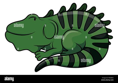Iguana Cartoon Illustration Stock Vector Image Art Alamy
