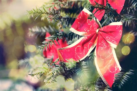 Professionally Decorated Christmas Trees With Ribbon