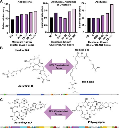 a machine learning bioinformatics method to predict biological activity from biosynthetic gene