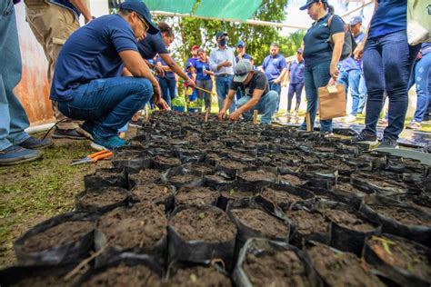 Tigo Panamá funda vivero ANCON con 1 000 plantones para la temporada de