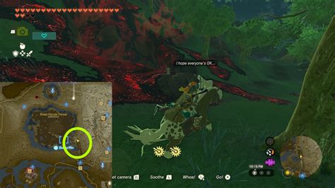 Zelda Tears Of The Kingdom Deku Tree And Hyrule Forest Guide