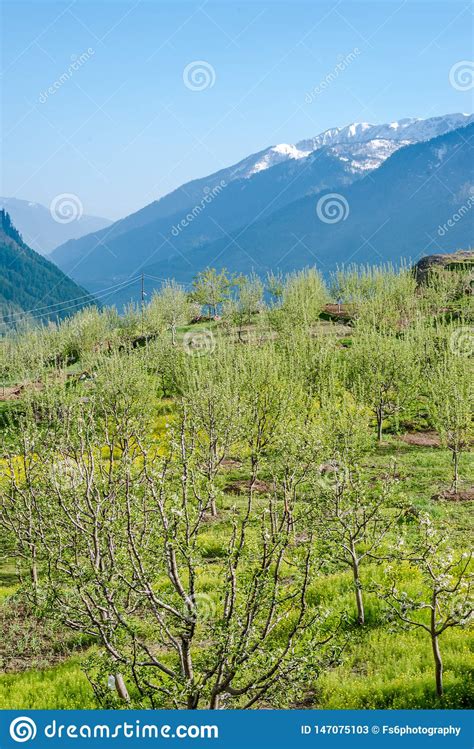 Colorful Landscape With High Himalayan Mountains Stock Image Image Of