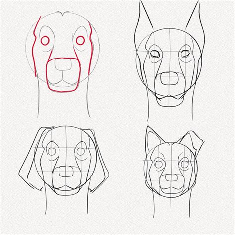 Cómo Dibujar la Cara de un Perro Un Tutorial Paso a Paso Artlex