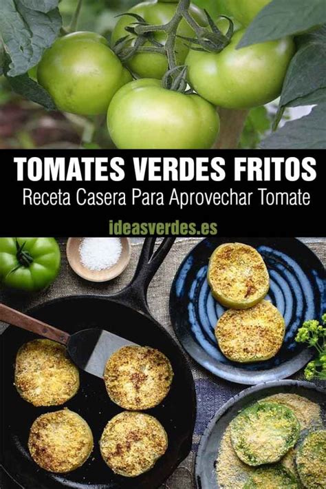 Tomates Verdes Fritos Receta Casera Para Disfrutar En Casa Ideas Verdes
