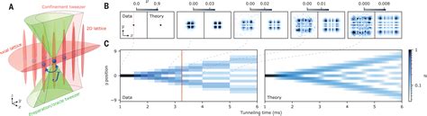tweezer programmable 2d quantum walks in a hubbard regime lattice science