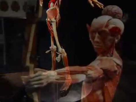 BODY WORLDS Exposição original de corpos humanos reais em ZÜRICH