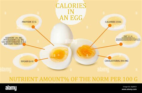 Egg Nutrition Facts And Health Benefits 52 OFF
