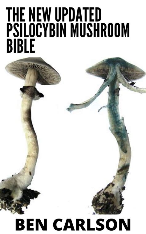 The New Updated Psilocybin Mushroom Bible The Ultimate Guide To Safe