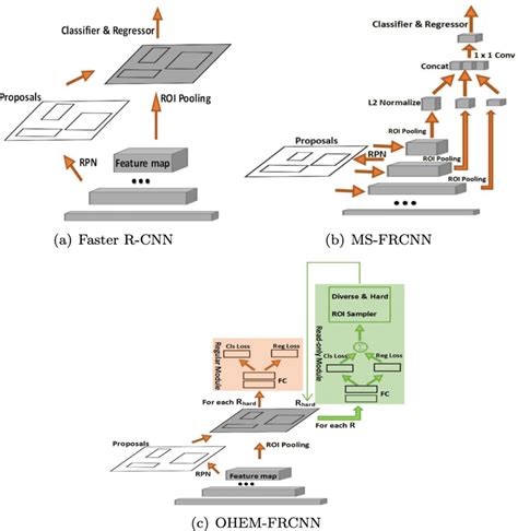 the architectures of faster r cnn ms frcnn and ohem frcnn download scientific diagram