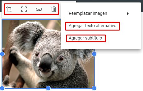 Subir Y Publicar En Google Im Genes Que Aparezcan En La Web