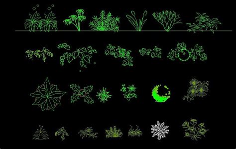 2d Patterns Shrubs Trees Plants Top View Plan And Elevation 2d Dwg