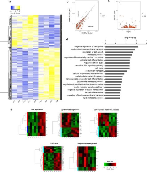 RNA Seq Analysis Of PDK4 KO And Control Hearts A Heat Map Of All
