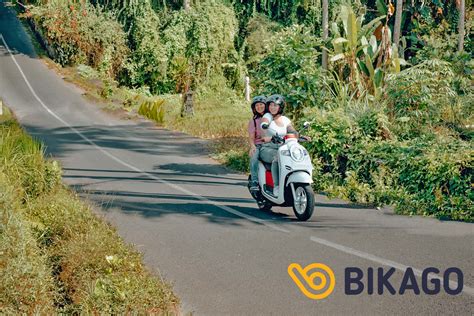 Ubud Bike Rental And Scooter Rental Services 1 In Bali Bikago