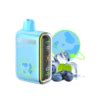 Blue Razz Ice Geek Bar Pulse Vape 15000 Puffs Vape Sale