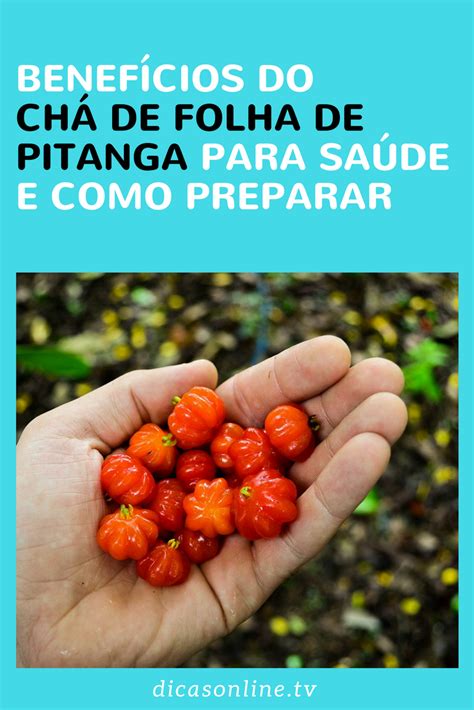 Chá de folha de pitanga Cha de pitanga Ervas medicinais Ervas curativas
