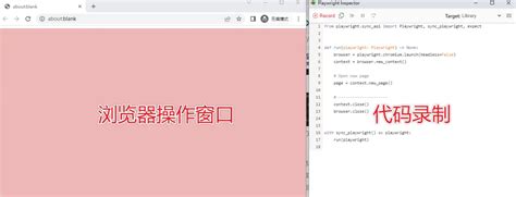 python playwright的使用详解 张生荣