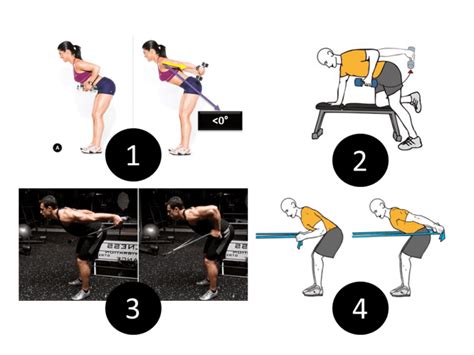Mejores ejercicios para tríceps estimulando sus 3 cabezas