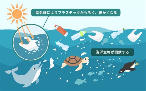 プラスチックゴミ問題とは現状や原因対策を徹底解説 WITH YOU