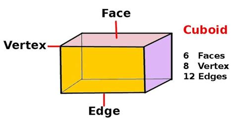 properties of cuboid cuboid mathematics vertex