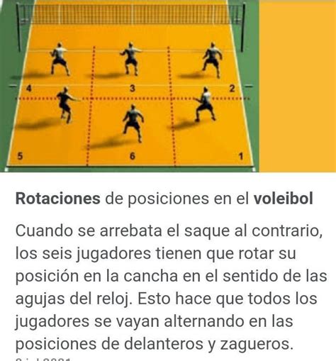 Total 37 Imagen Posiciones Y Rotaciones Del Voleibol Viaterra Mx