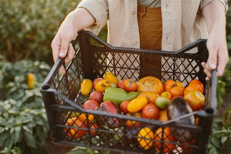 Entenda como ocorre a perda e o desperdício de alimentos ao longo da