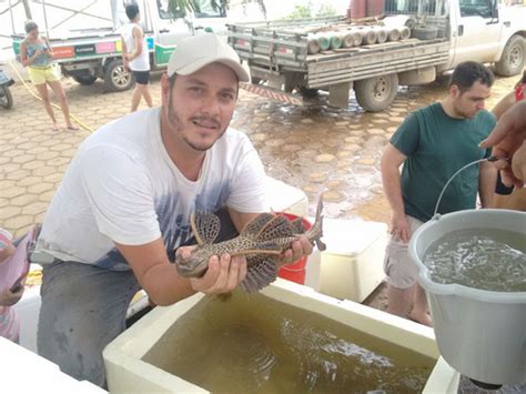 Pescadores Se Unem E Salvam 6 Mil Peixes Do Desastre Em Mariana Busca