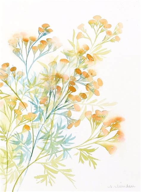 Aquarelle Originale Tanaisie 18x24 Cm Mirglis Sarah Van Der