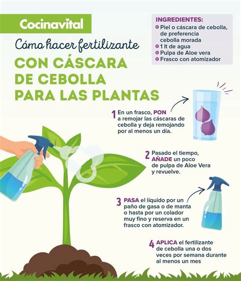Descubre cómo puedes cuidar y fortalecer tus plantas con fertilizantes