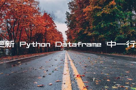 如何更新 python dataframe 中一行的值？ 码微