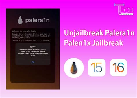 How To Remove Palera1n Palen1x Jailbreak Completely 2024
