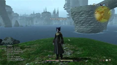 Ffxiv Miqo Te Complete Emote List Hd Youtube