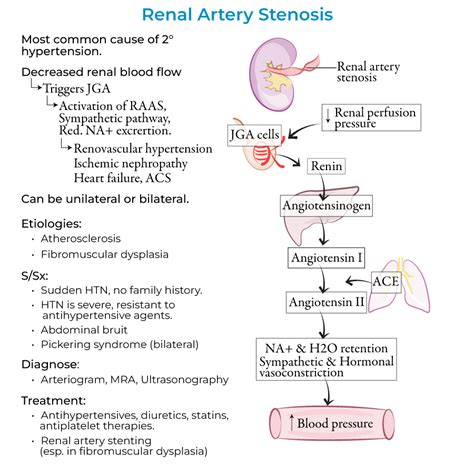 Clinical Pathology Glossary Renal Artery Stenosis Ditki Medical