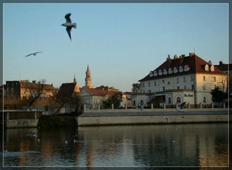 W Opolu Nad Odr Opole Odra Videll Fotosik Pl