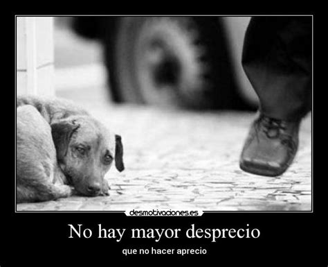 Imágenes y Carteles de DESPRECIO Desmotivaciones