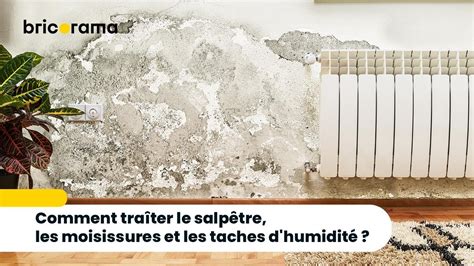Comment Tra Ter Le Salp Tre Les Moisissures Et Les Taches D Humidit