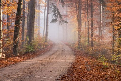 100 000 kostnadsfria bilder med Höst Löv och Höst Pixabay