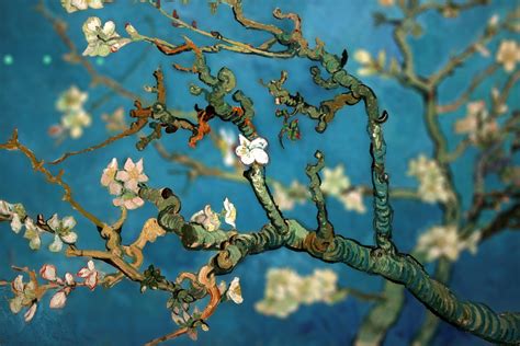 Van Gogh Almond Blossom Wallpaper