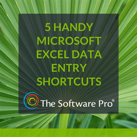 microsoft excel data entry tips and handy keyboard shortcuts